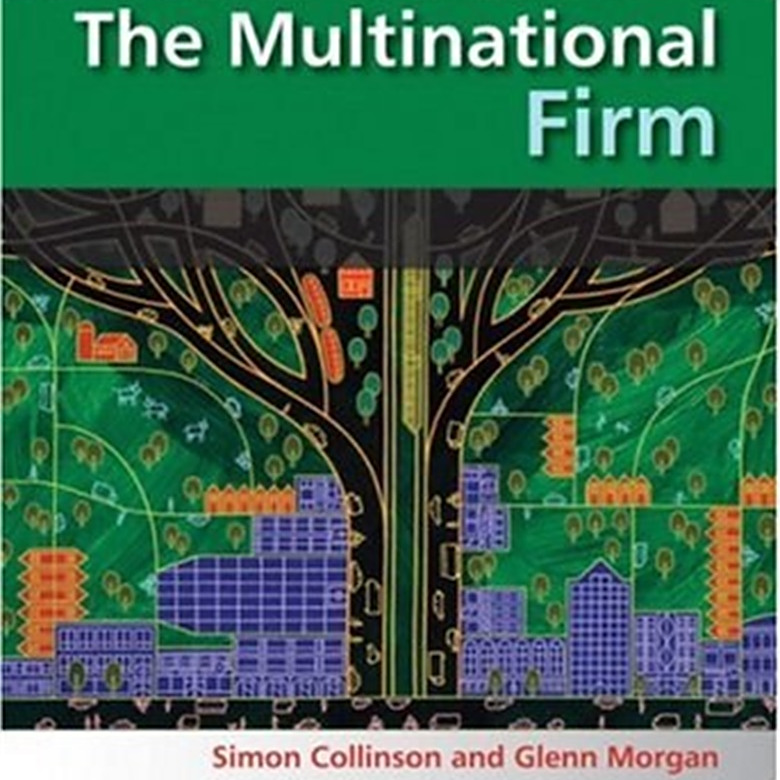The Multinational Firm_百度百科