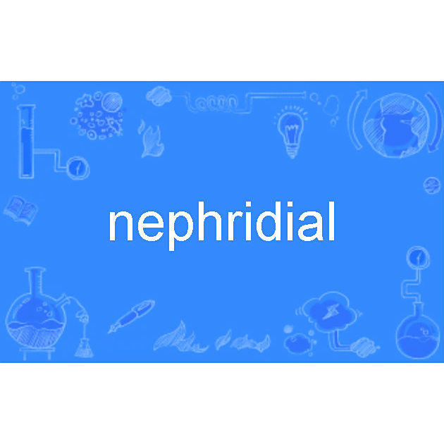 nephridial_百度百科