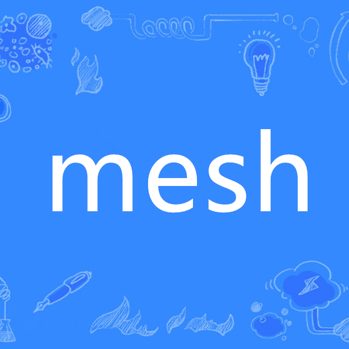 Mesh（英语单词）百度百科