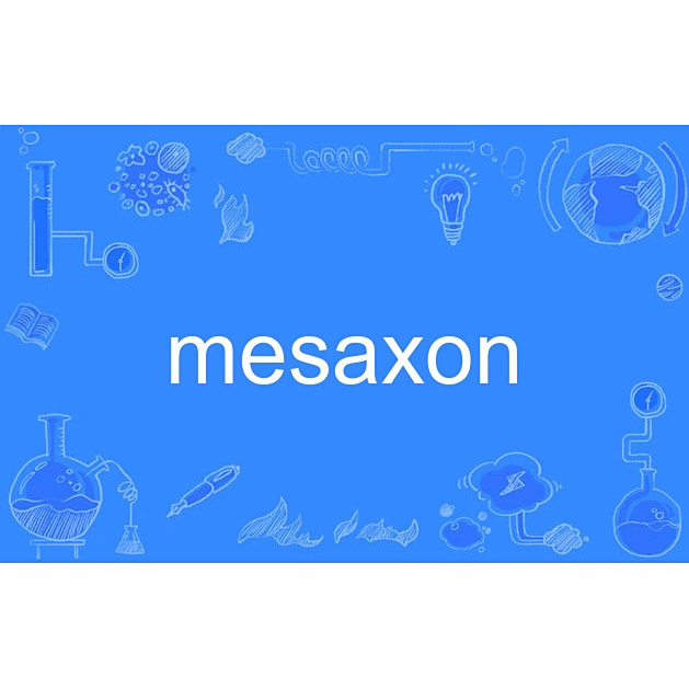 mesaxon_百度百科