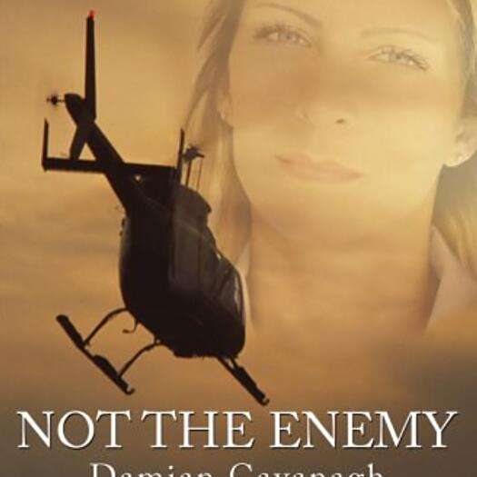 Not The Enemy_百度百科