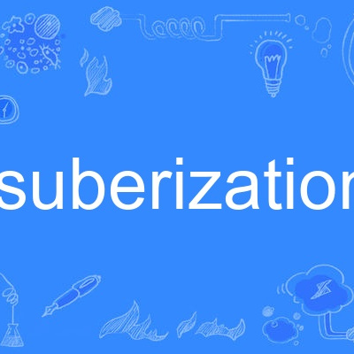 suberization_百度百科