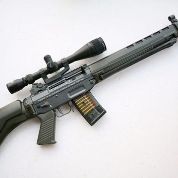 SG550突击步枪_百度百科