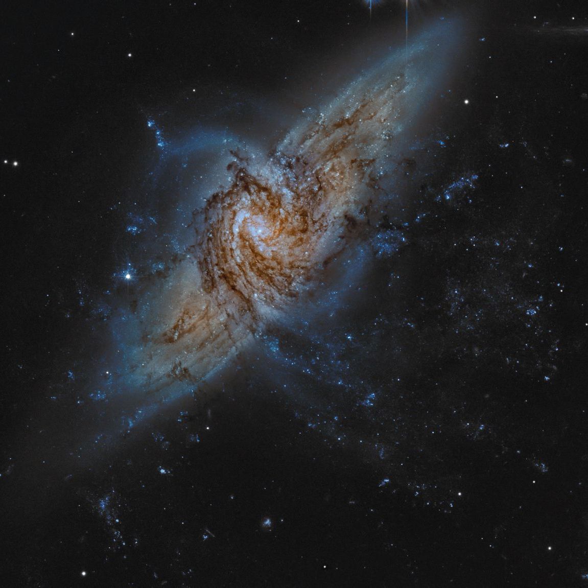 NGC 3314_百度百科