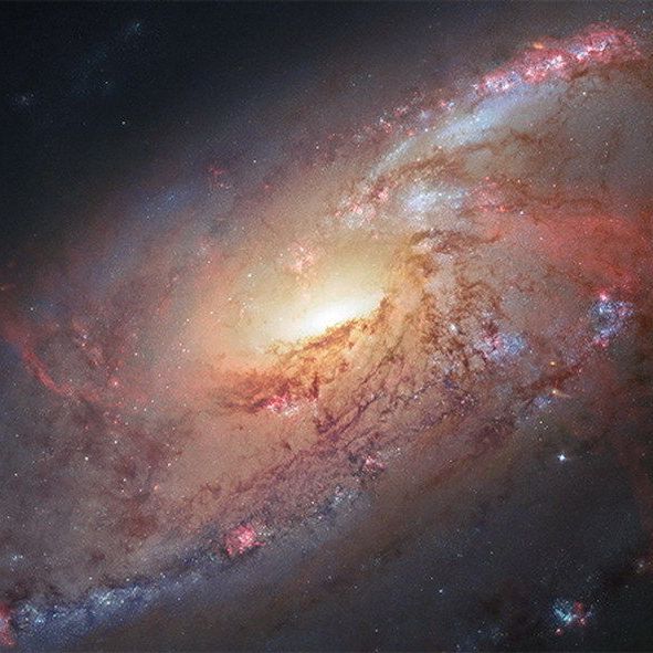 M106_百度百科