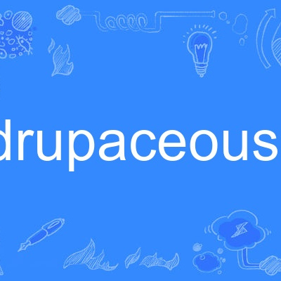 drupaceous_百度百科