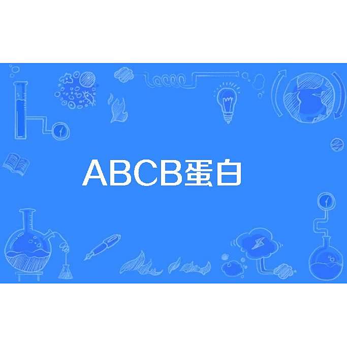 ABCB蛋白_百度百科