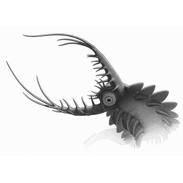 Pambdelurion_百度百科