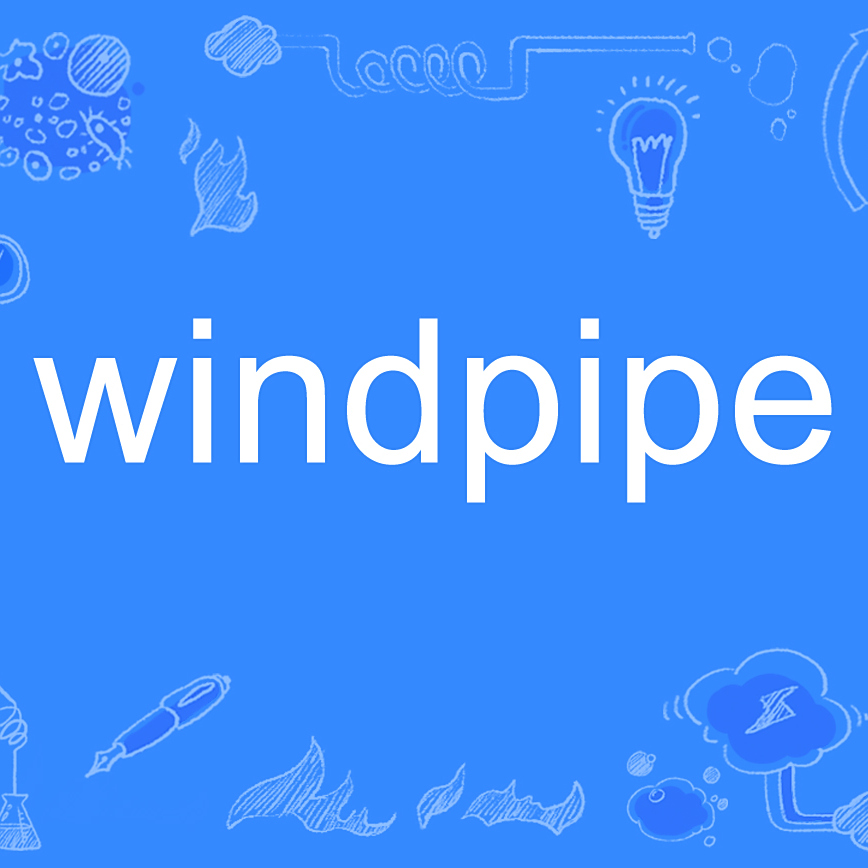 windpipe_百度百科