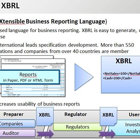 XBRL商业报告系统_百度百科