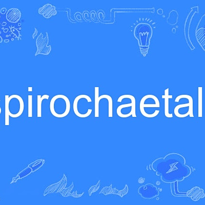 spirochaetal_百度百科