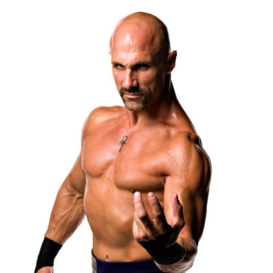 Fallen Angel（美国职业摔角手）_百度百科