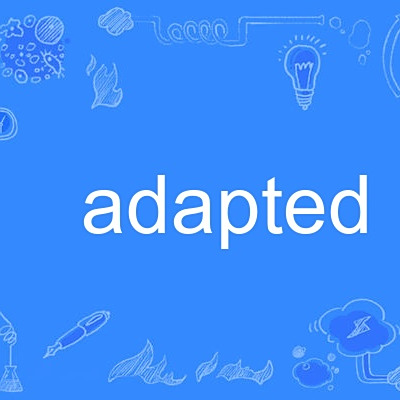 adapted_百度百科