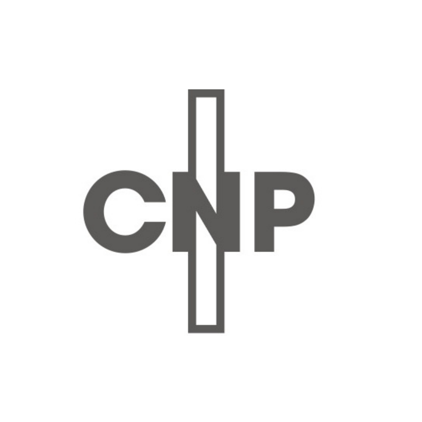 CNP_百度百科