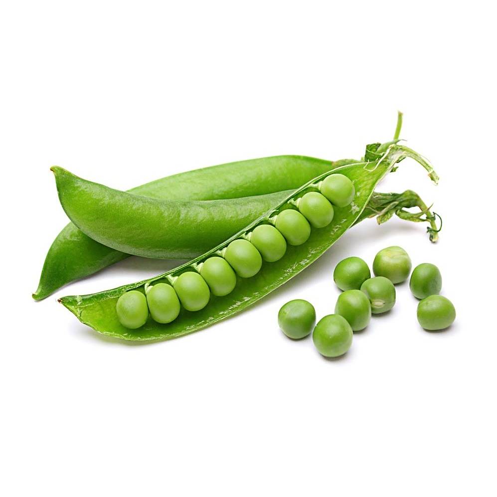 豌豆（豆科豌豆屬植物）_百度百科