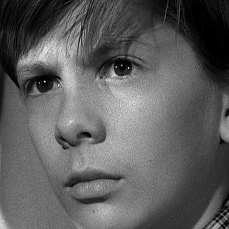 Pat Cardi_百度百科