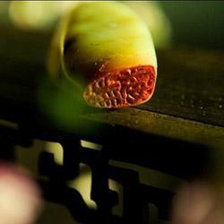 滿天風雨下西樓_百度百科