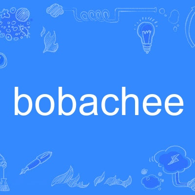 bobachee_百度百科