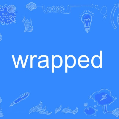 wrapped_百度百科