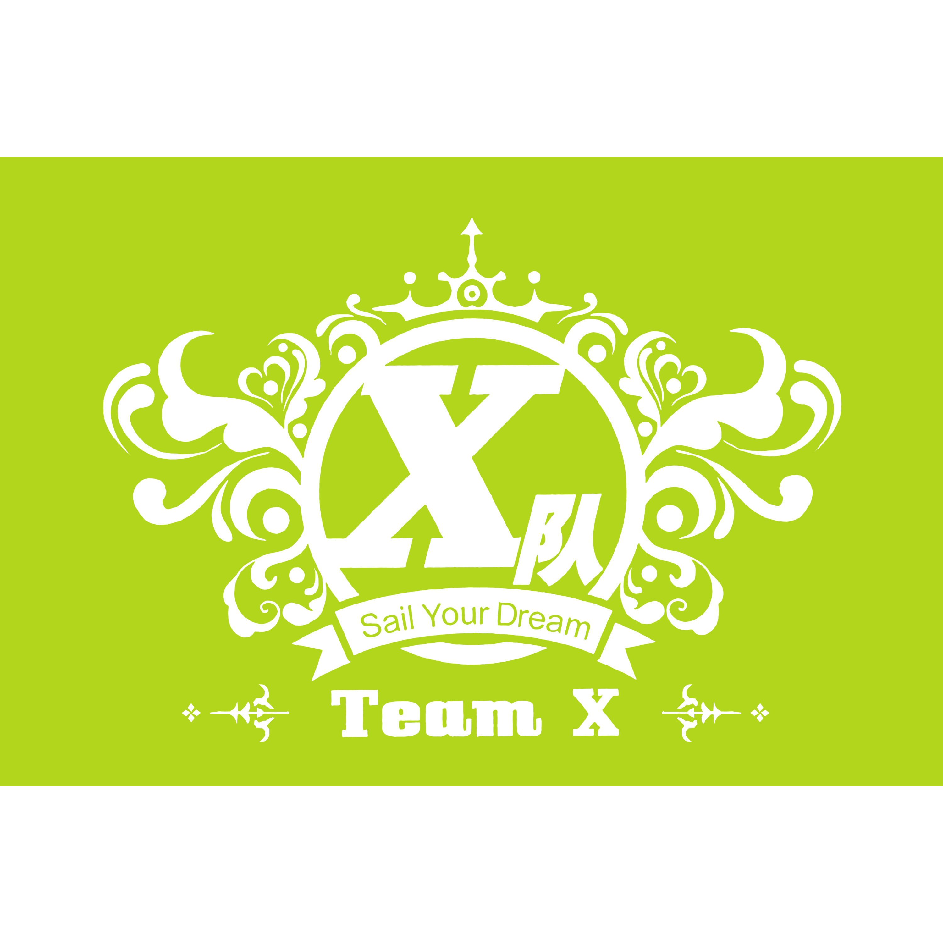 SNH48 TEAM X_百度百科