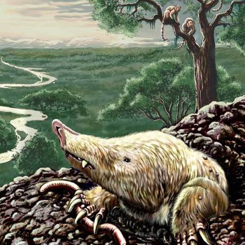 Necrolestes_百度百科