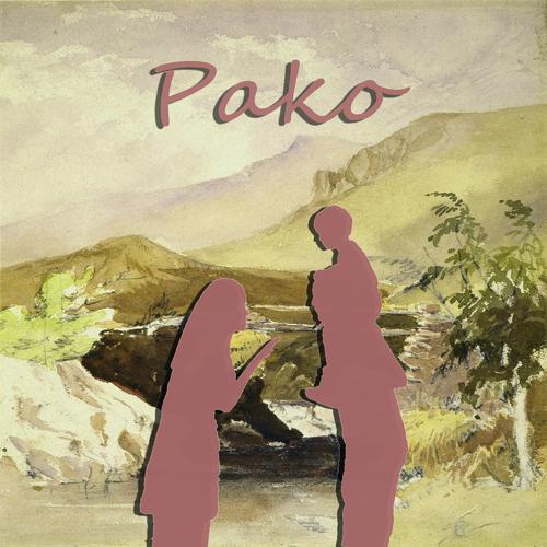 Pako_百度百科
