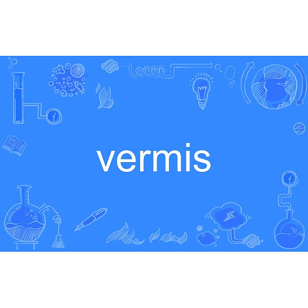 vermis_百度百科