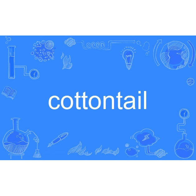 cottontail_百度百科
